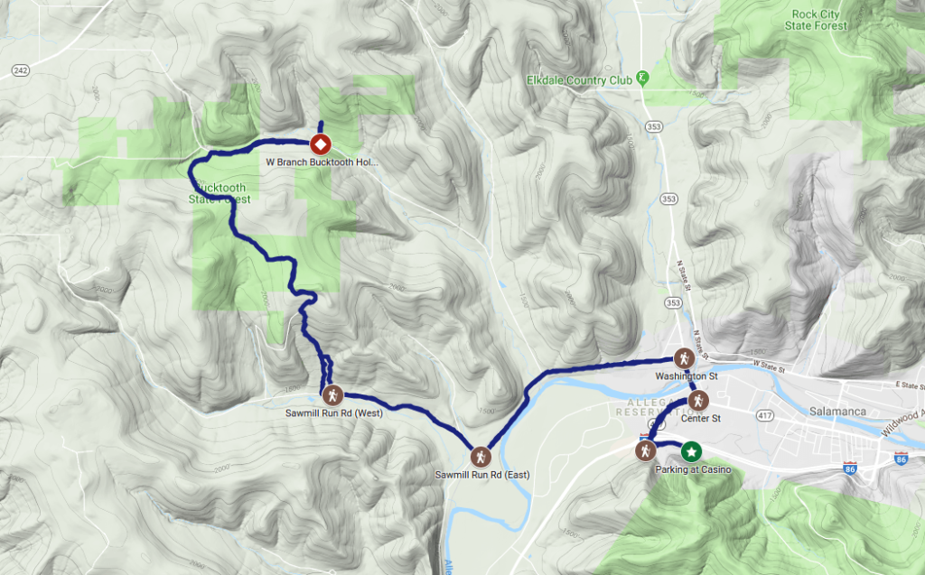 The Last Long Road-Walk - Scott Geiger